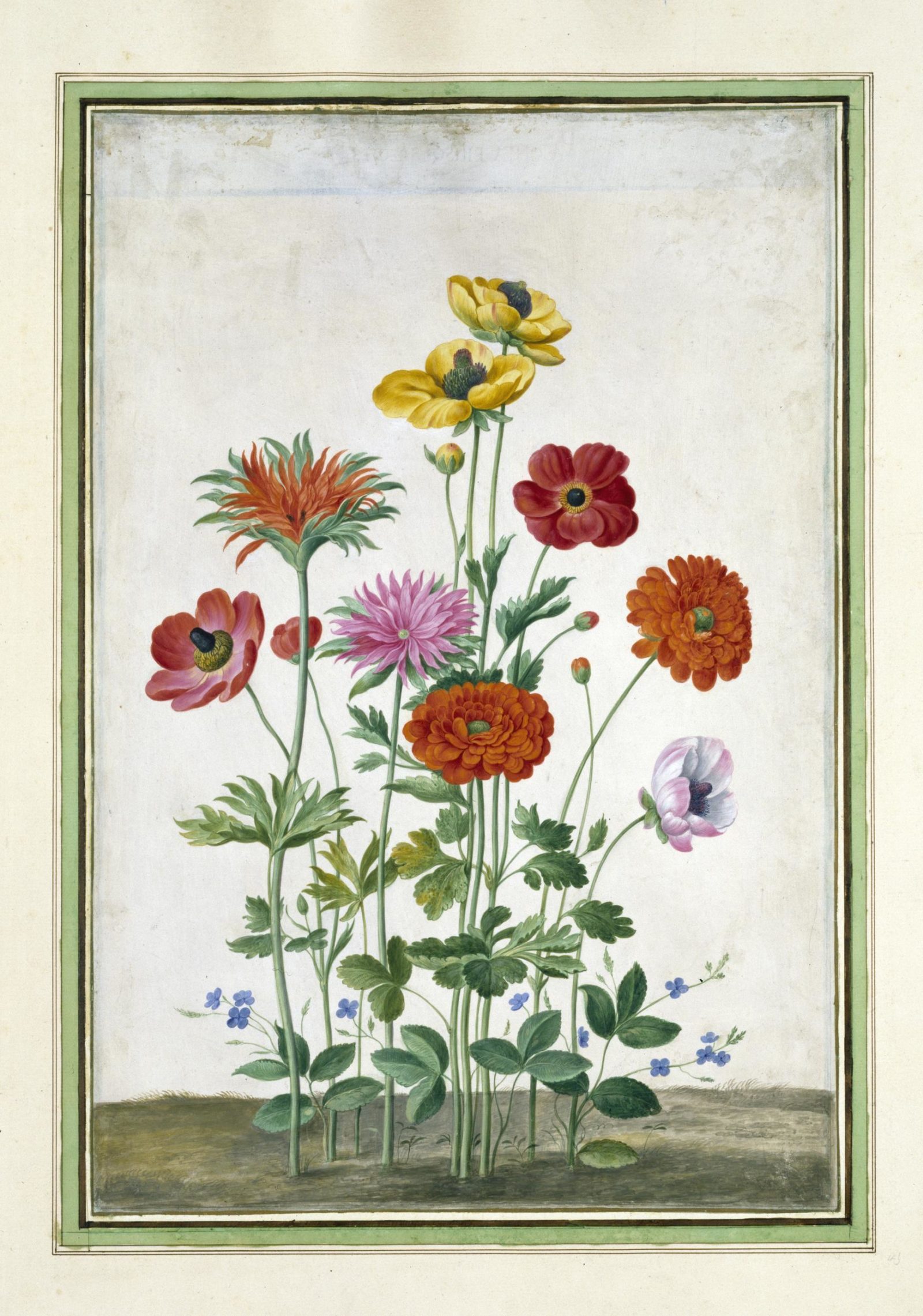 Books Of Painted Flowers On Paper And Parchment Rethinking The Florilegium As A Book Genre books-of-painted-flowers-on-paper-and-parchment-rethinking-the-florilegium-as-a-book-genre